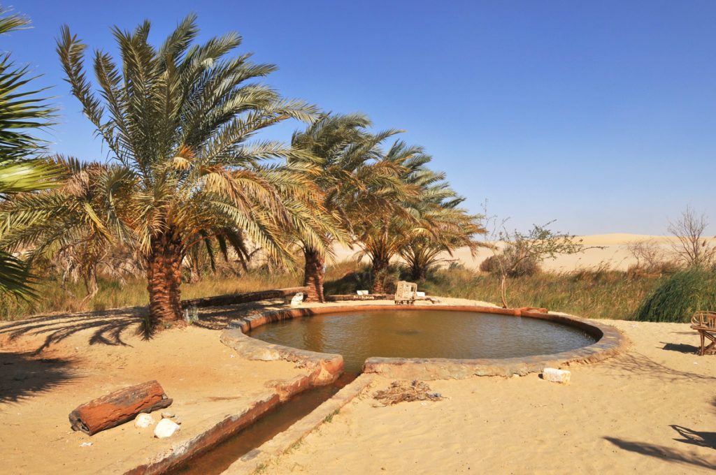Excursions around Siwa Oasis – Adrere Amellal Eco-Lodge Siwa Oasis